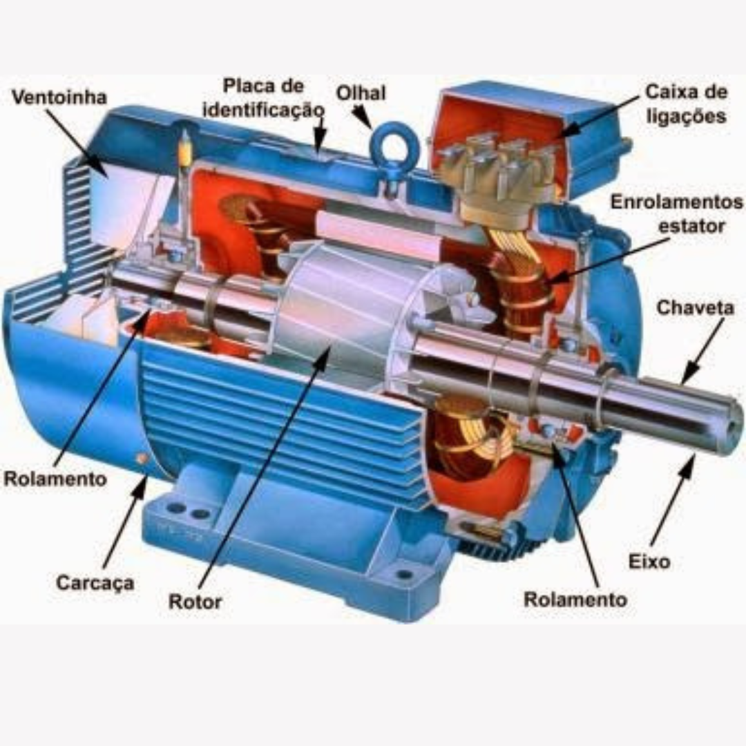 MOTOR GAIOLA DE ESQUILO - AVENÇA